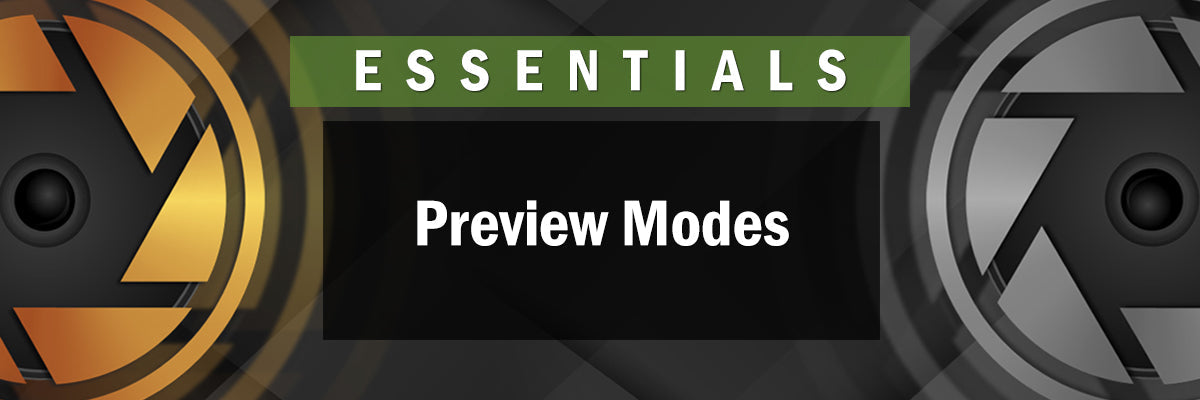 Preview Modes — Choice Slides