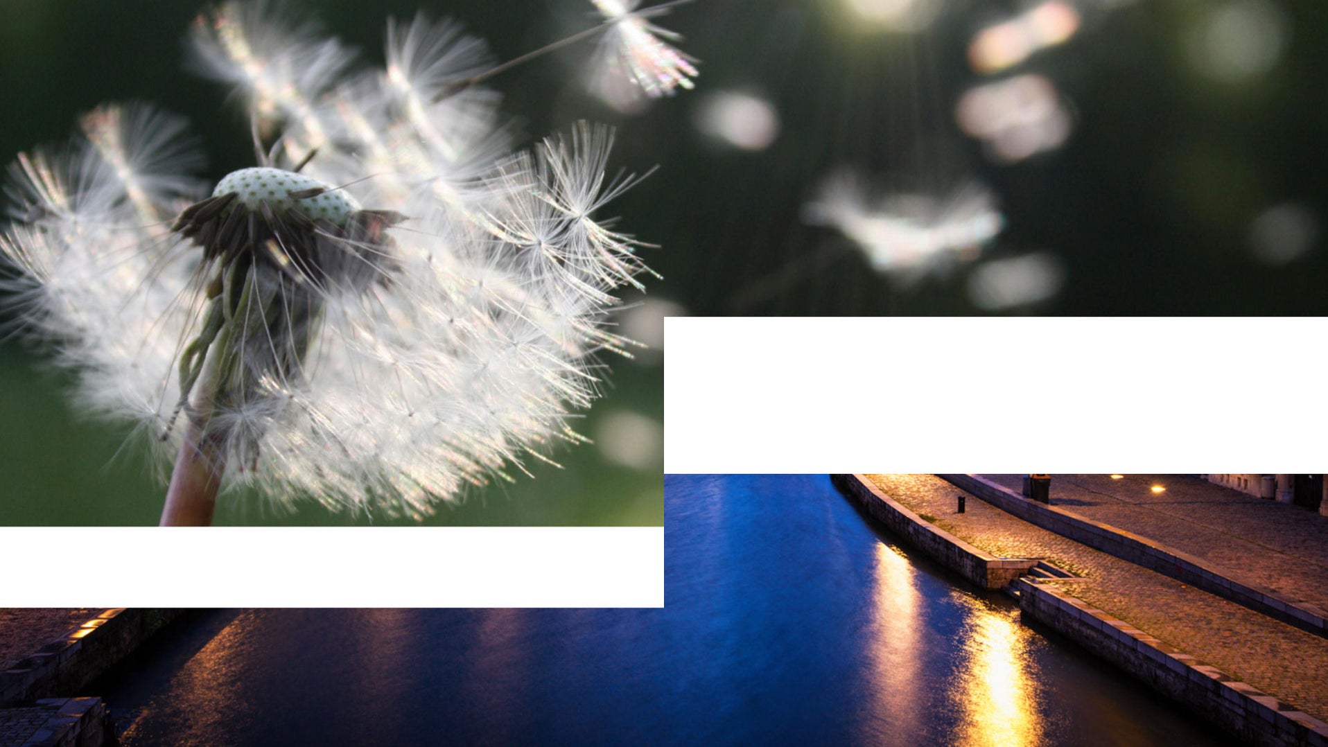 Simple Bars Template and Transitions — Choice Slides