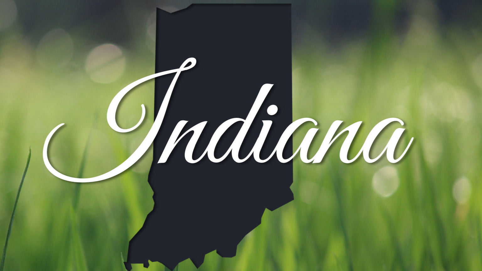 Photopia Slide Styles — Choice Slides