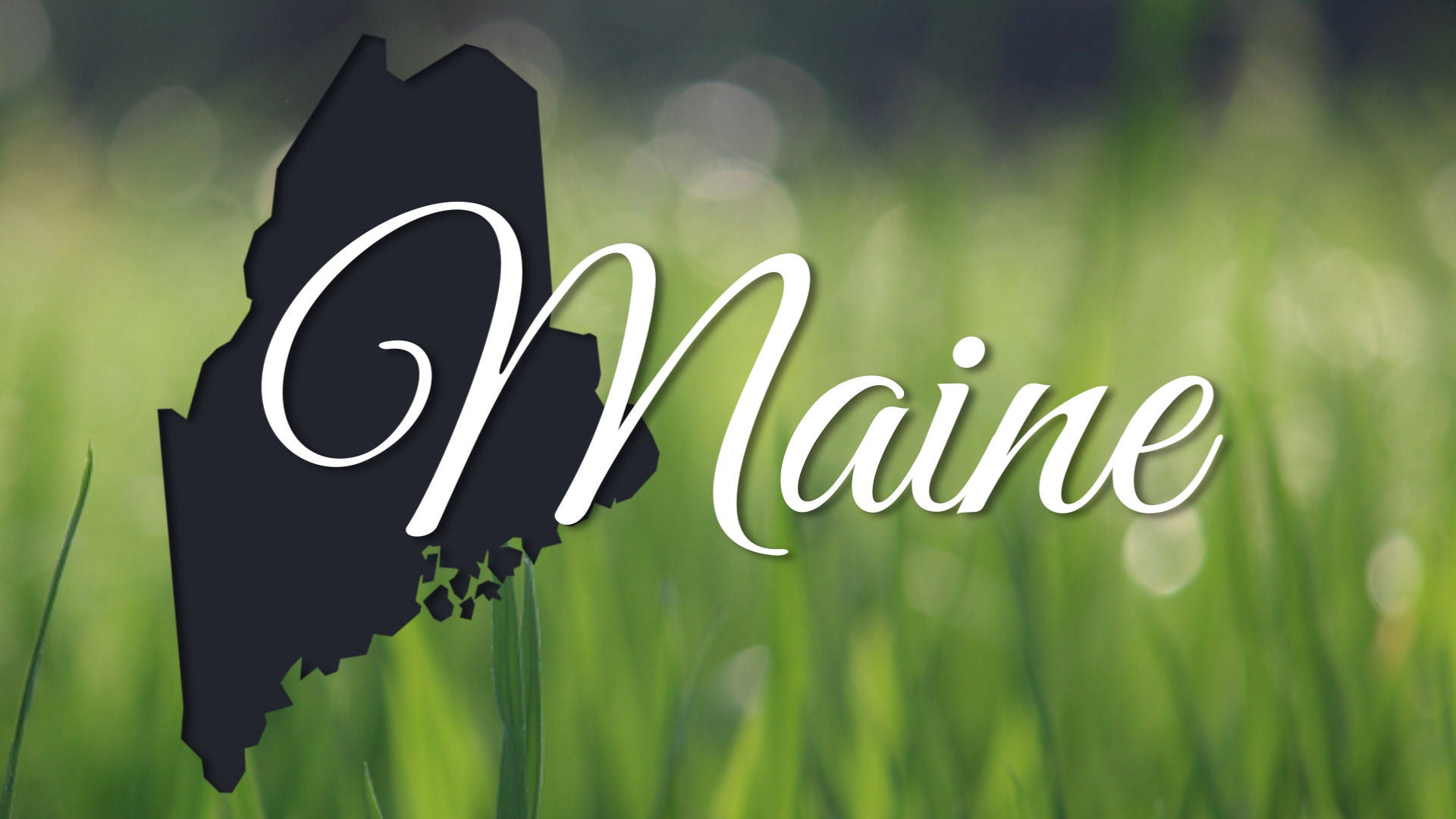 Photopia Slide Styles — Choice Slides