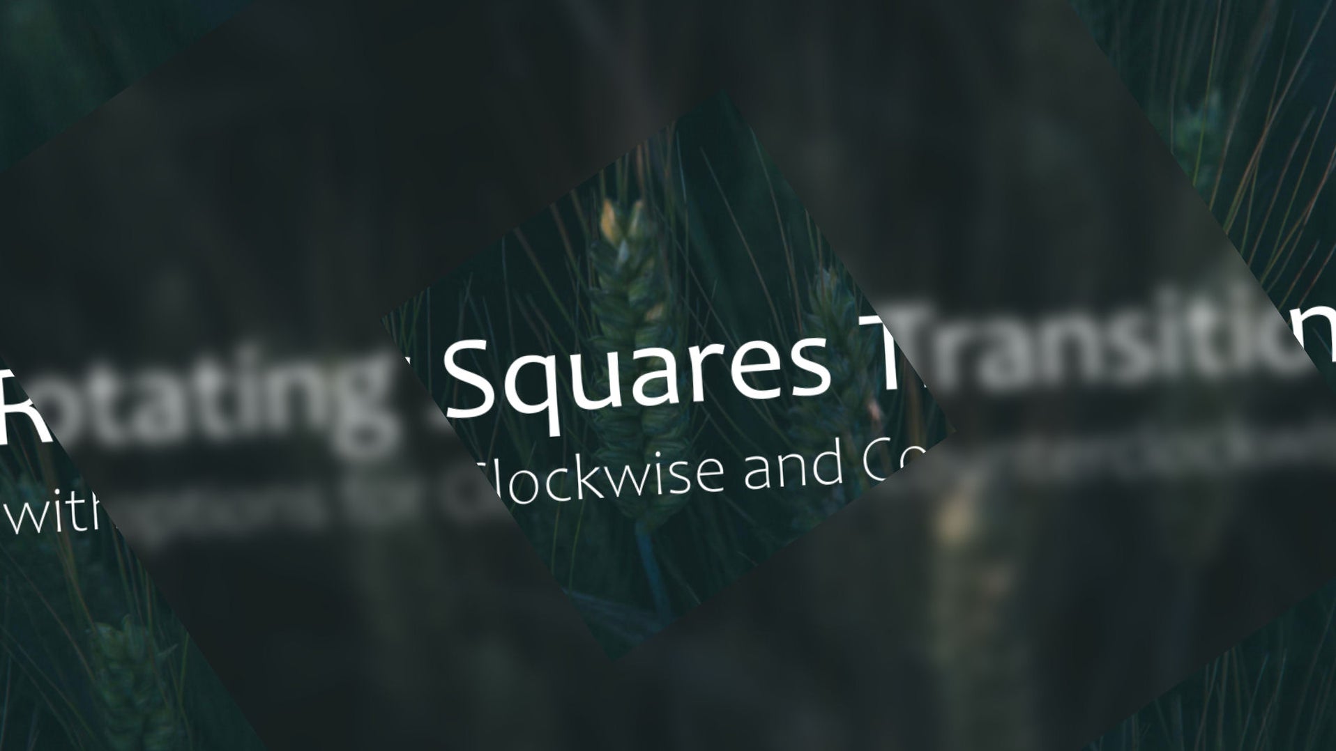 Rotating Squares Transition for Photopia — Choice Slides