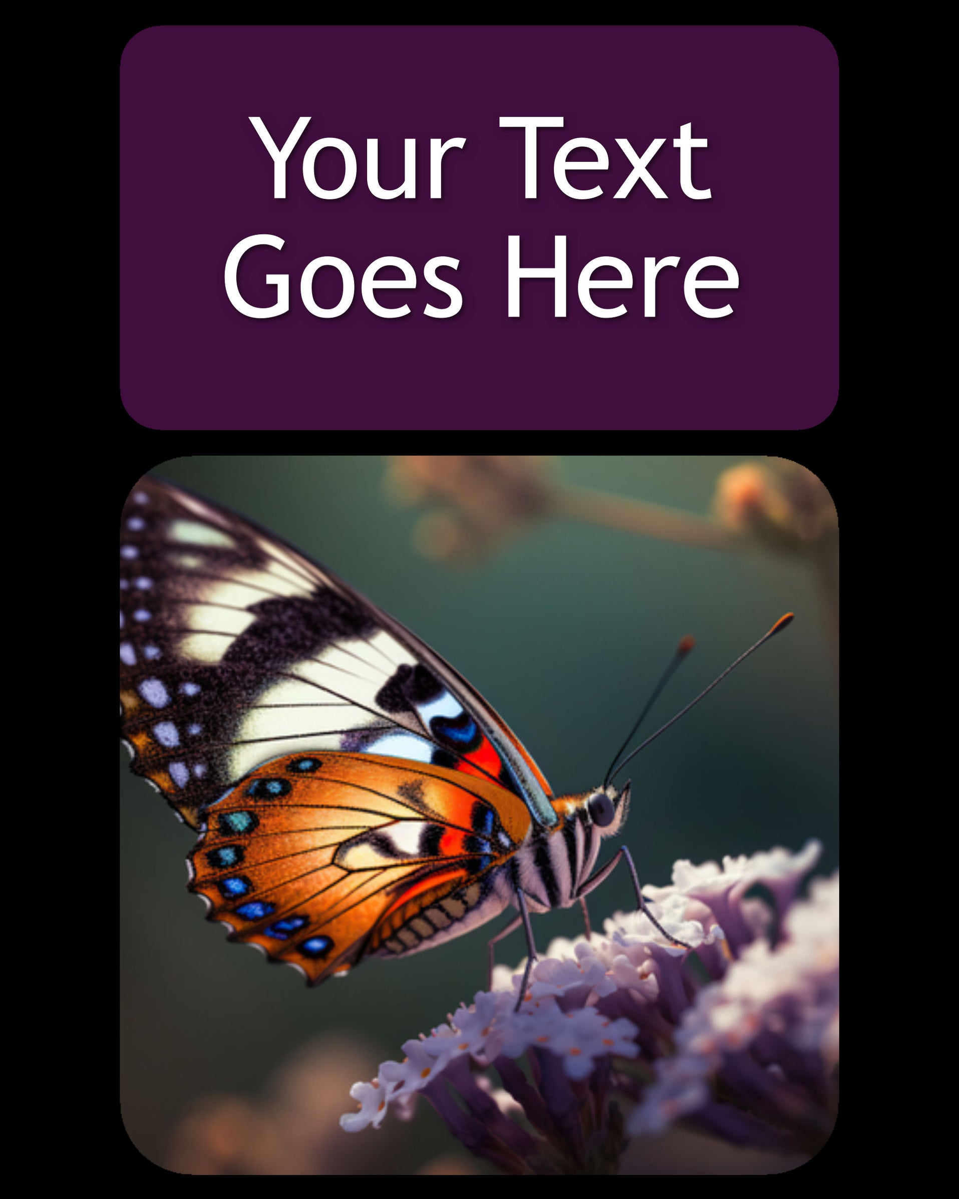 Social Media Split Screen for Photopia — Choice Slides