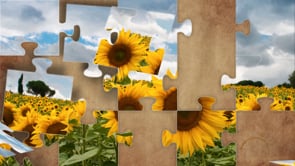 Photopia Puzzle Slide Style - 15 pieces — Choice Slides