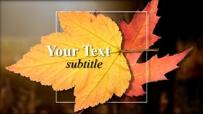 Leaf Title Slide Style for Photopia — Choice Slides